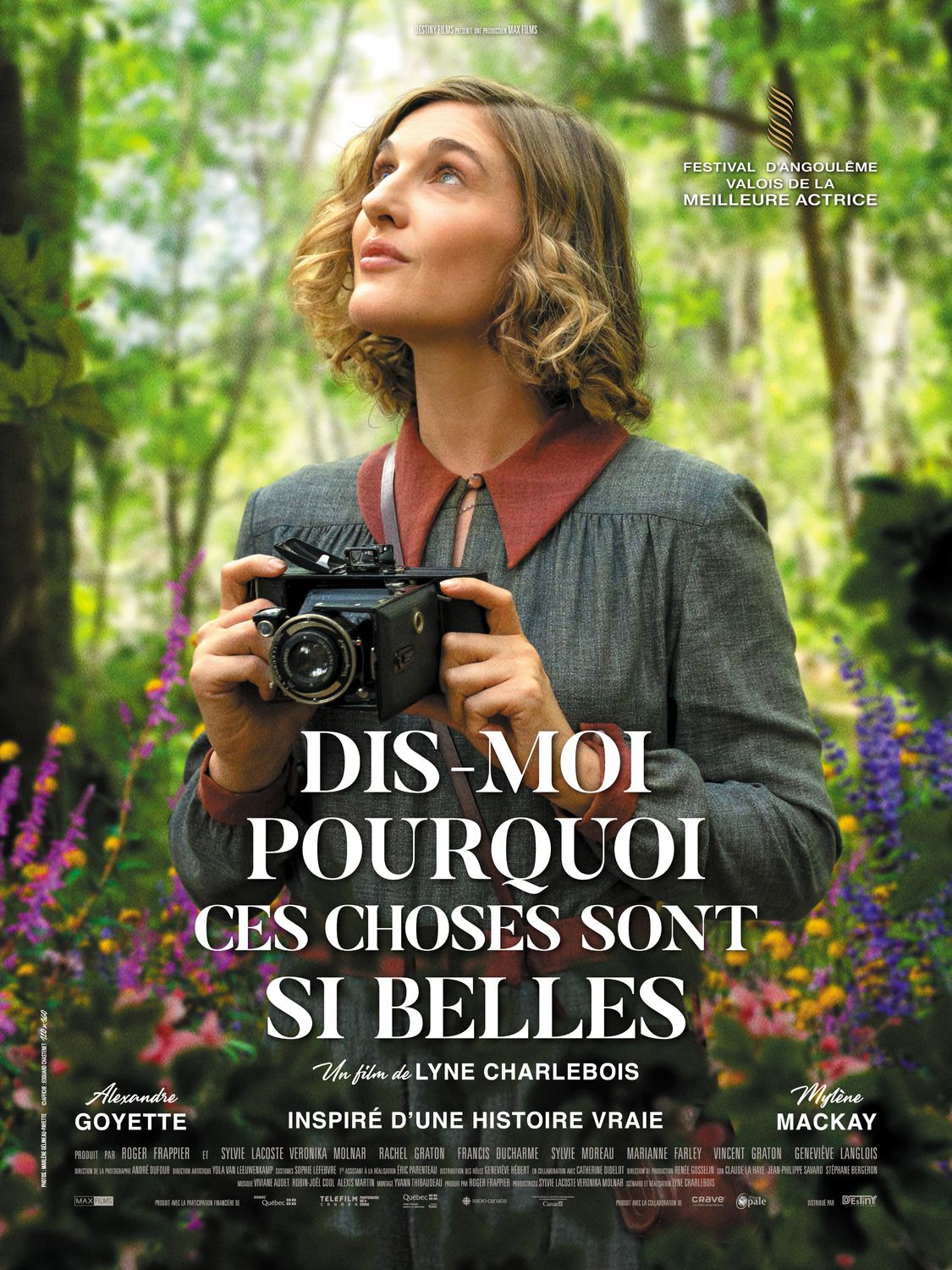Poster zum Film Tell Me Why These Things Are So Beautiful - Bild 2 auf ...