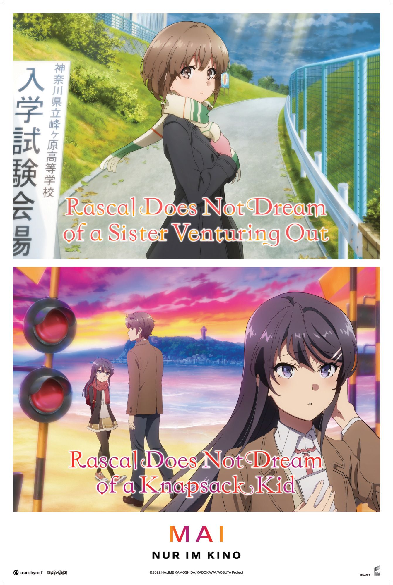 Rascal Does Not Dream - FILMSTARTS.de