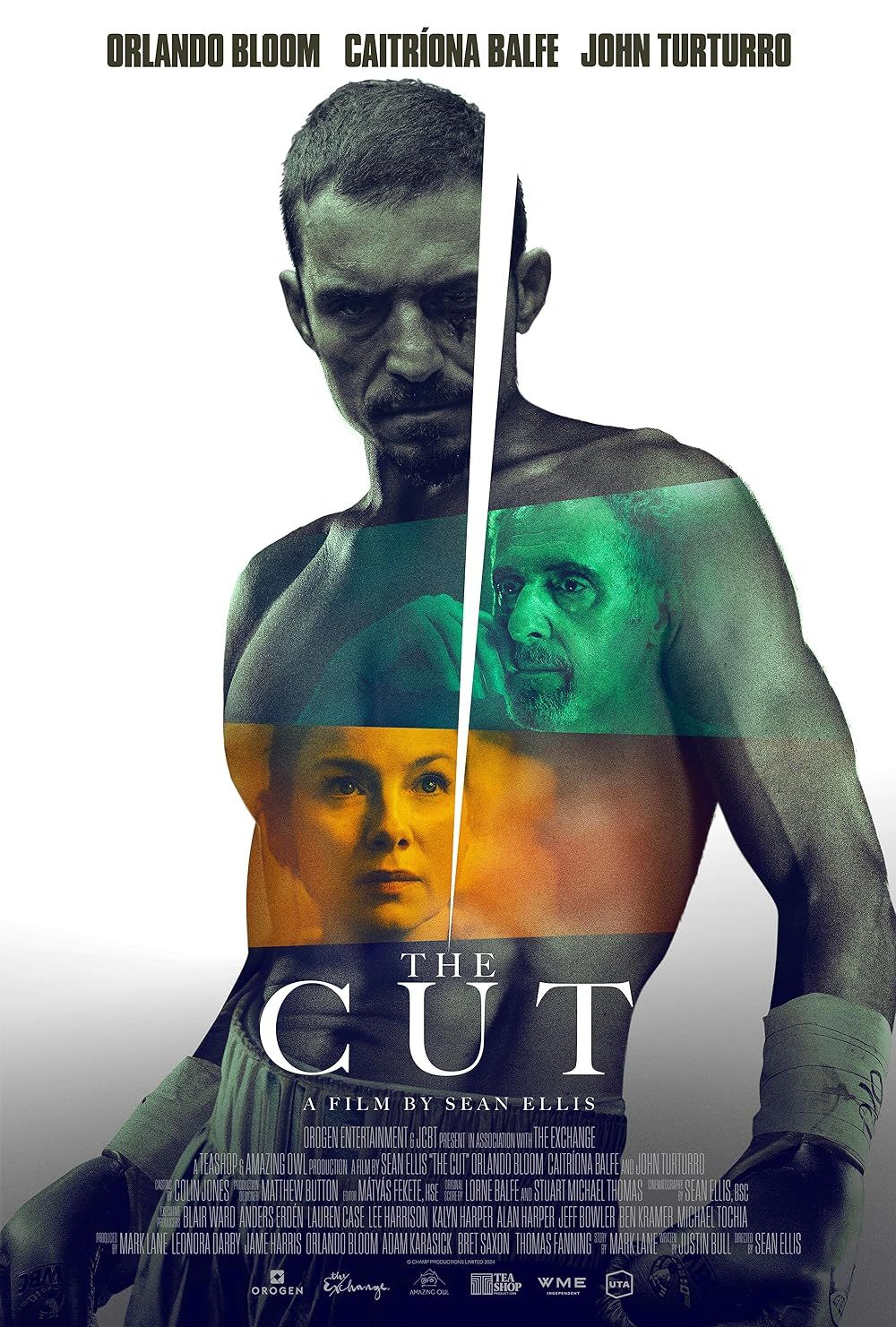 Poster zum Film The Cut - Bild 1 auf 1 - FILMSTARTS.de