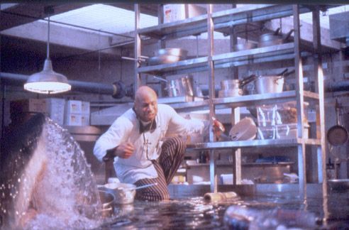 Foto zum Film Deep Blue Sea - Bild 15 auf 16 - FILMSTARTS.de