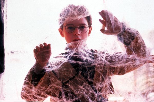 Foto zum Film Arac Attack - Angriff der achtbeinigen Monster - Bild 9 ...