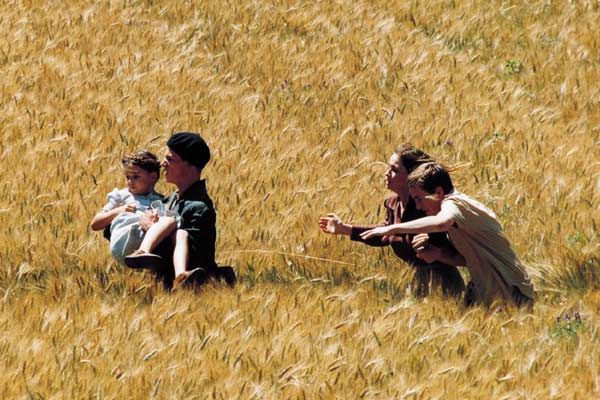 Foto zum Film Strayed - Bild 5 auf 6 - FILMSTARTS.de