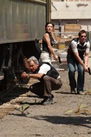 Bild zu Michael Weatherly - Bild Mark Harmon, Sasha Alexander, Michael ...