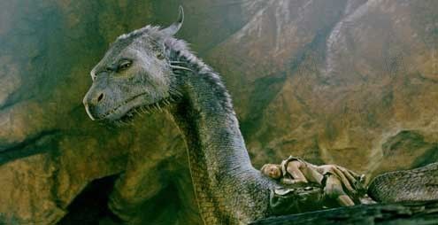 Bild zu Stefen Fangmeier - Eragon - Das Vermächtnis der Drachenreiter ...