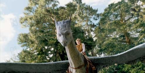 Bild zu Stefen Fangmeier - Eragon - Das Vermächtnis der Drachenreiter ...