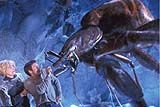 Foto zum Film Arac Attack - Angriff der achtbeinigen Monster - Bild 5 ...