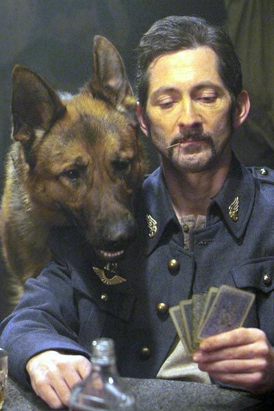 Bild zu Danny Lerner - Rin Tin Tin : Bild Gregory Gudgeon, Danny Lerner ...