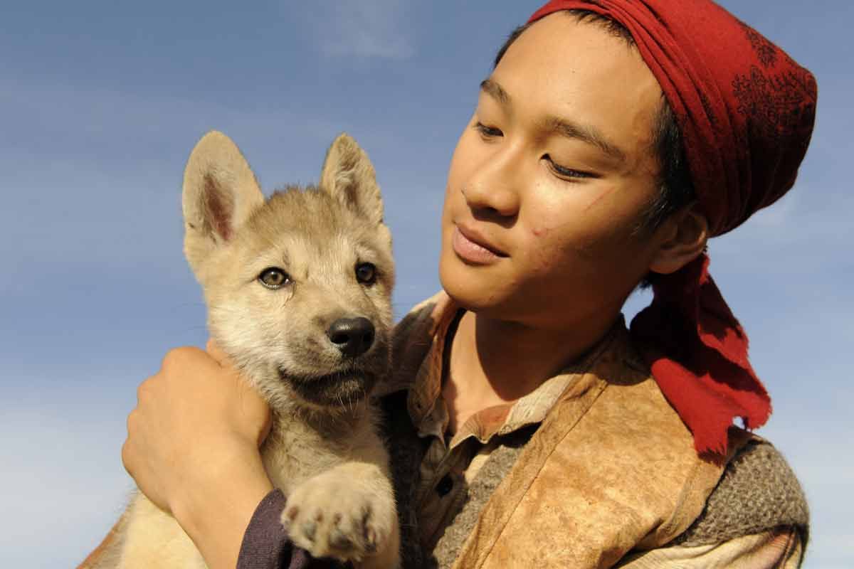 Foto zum Film Der Junge und der Wolf - Bild 4 auf 39 - FILMSTARTS.de