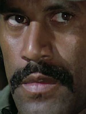 Fred Williamson - FILMSTARTS.de