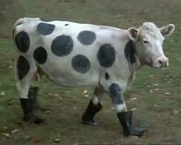 Top Secret! Trailer OV - FILMSTARTS.de