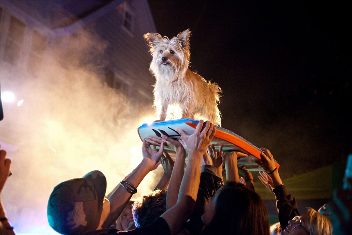 Foto zum Film Project X - Bild 11 auf 34 - FILMSTARTS.de