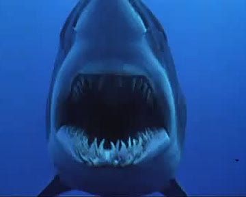 Deep Blue Sea Trailer - Deep Blue Sea Trailer OV - FILMSTARTS.de