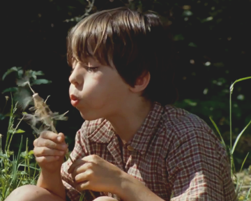 Das Wunder der Natur Trailer - Das Wunder der Natur Trailer DF ...