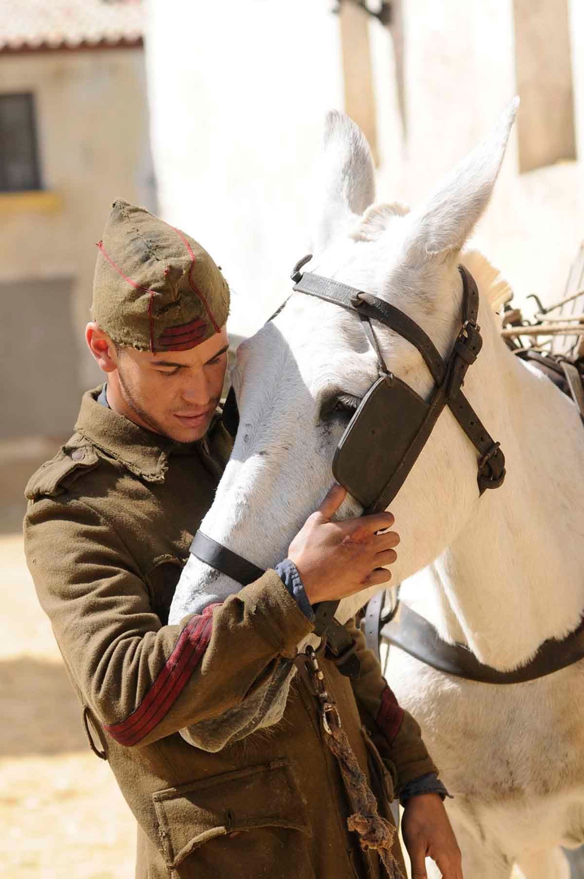 Foto zum Film La mula - Bild 38 auf 43 - FILMSTARTS.de