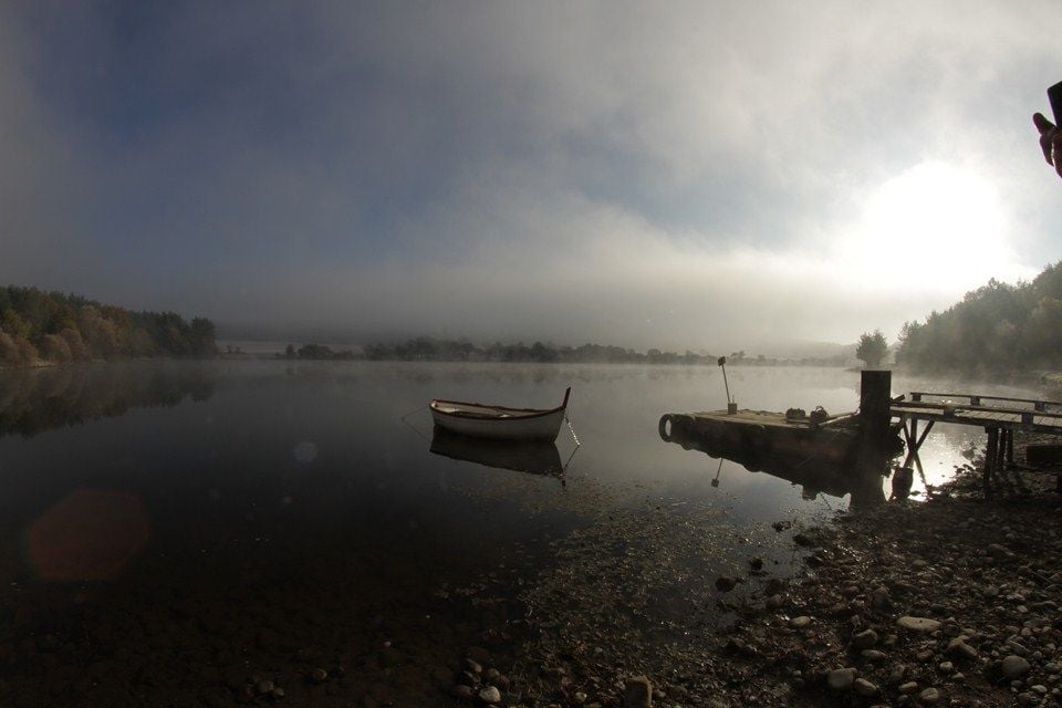 Foto zum Film Lake Placid 4 - Bild 8 auf 14 - FILMSTARTS.de