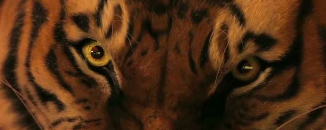 Erster Trailer zu "Life After Pi" - Wie ein oscarprämiertes Special ...