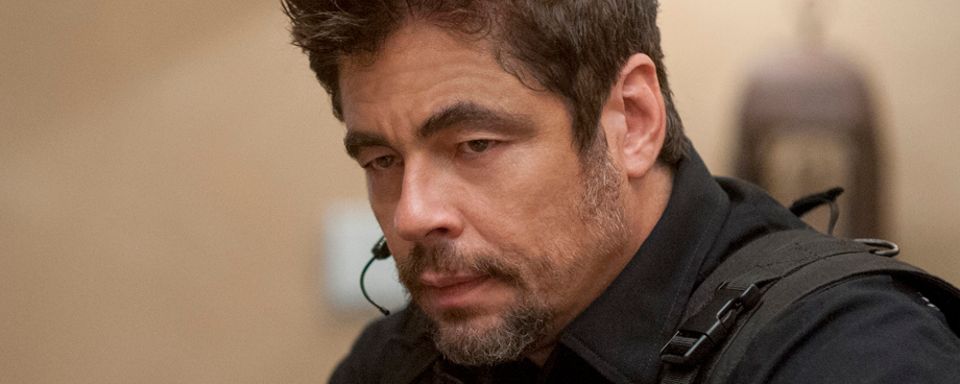 "Unsentimental" und "böse": "Sicario"-Autor Taylor Sheridan spricht über Fortsetzung - Kino News ...