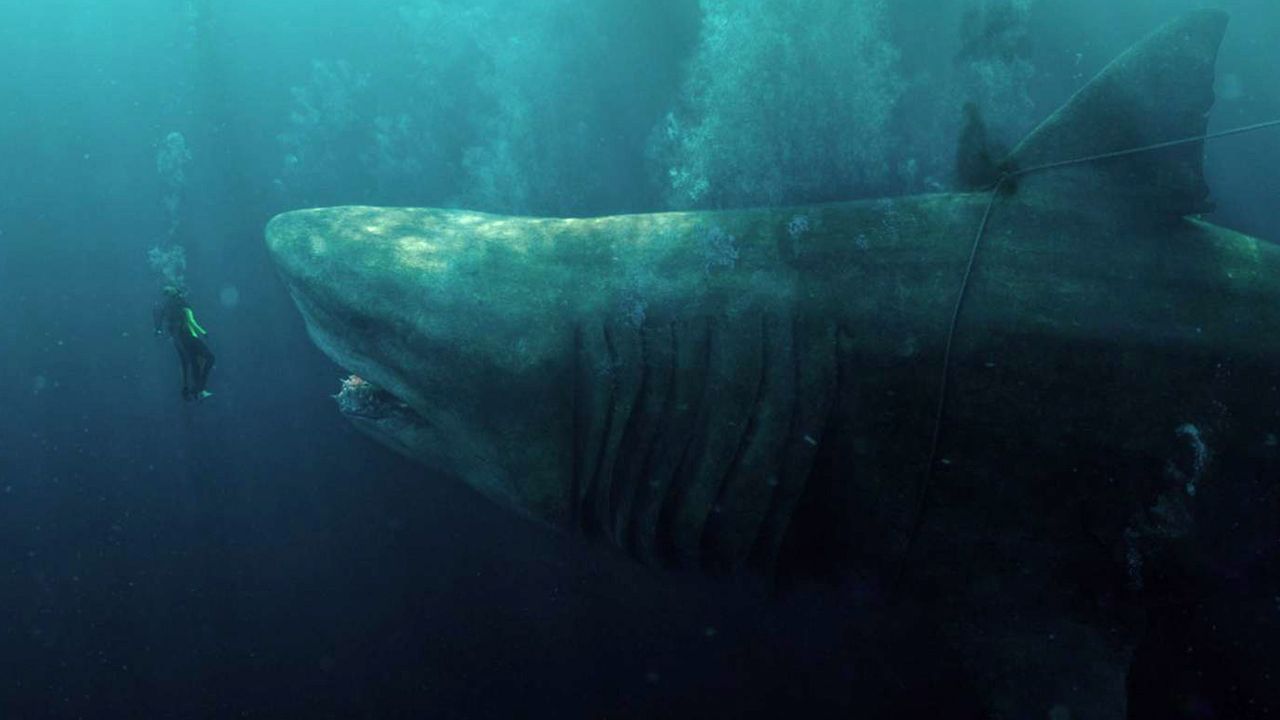 Nach "Rebecca" auf Netflix: Regisseur macht Monster-Hai-Sequel - Kino ...