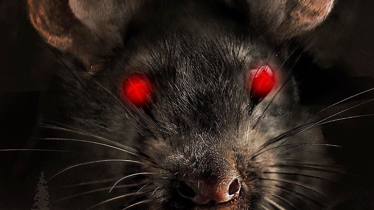 Monsterratten-Blutbad auf dem Campingplatz: Trailer zum Trash-Horror ...
