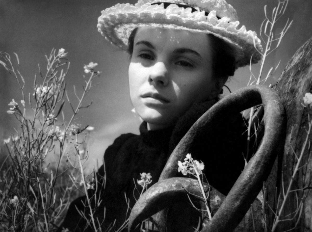 Foto zum Film Tödliche Leidenschaft - Bild 2 auf 2 - FILMSTARTS.de