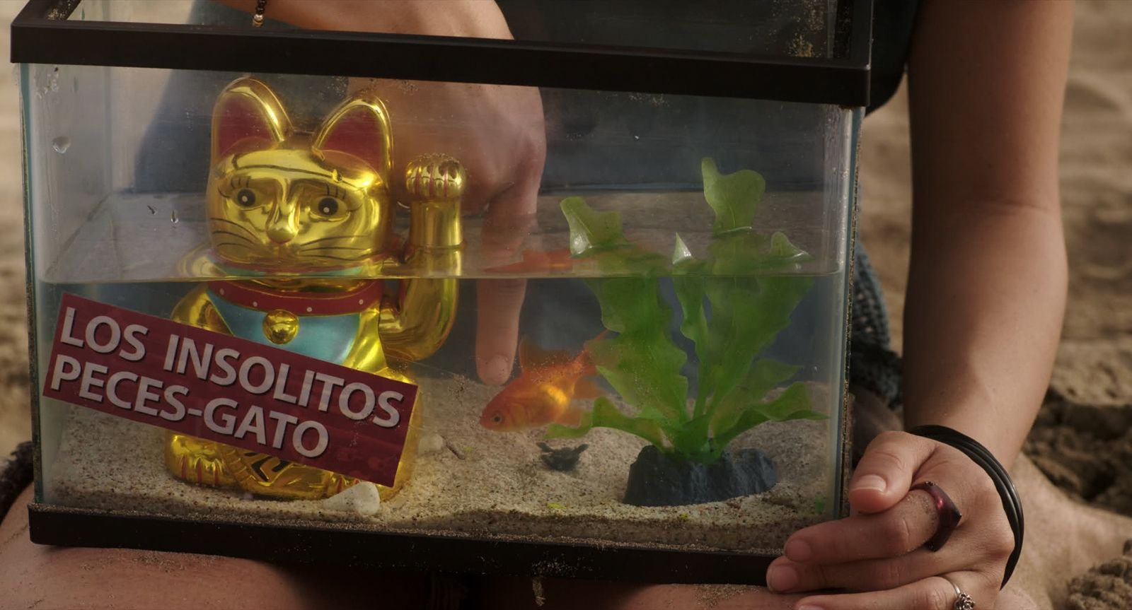 Foto zum Film Der wundersame Katzenfisch - Bild 7 auf 22 - FILMSTARTS.de