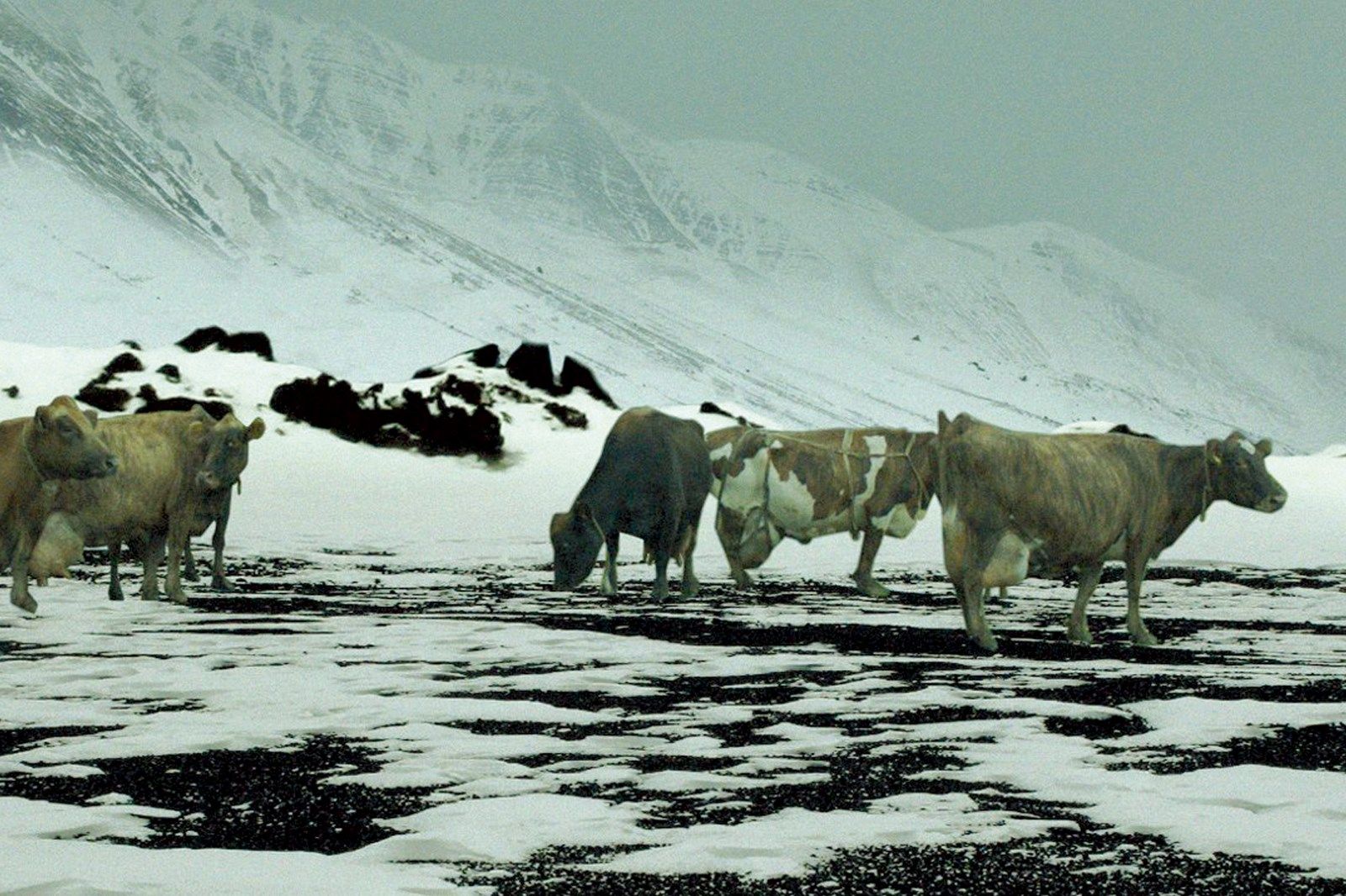 Foto zum Film Metalhead - Bild 13 auf 15 - FILMSTARTS.de