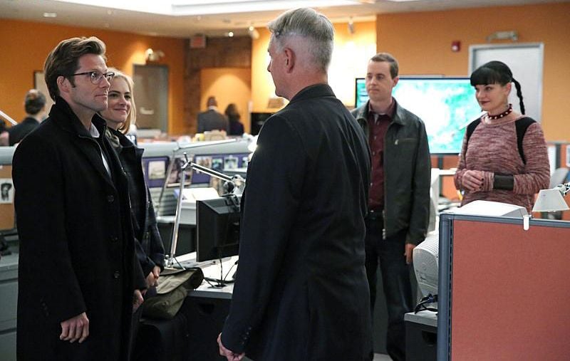 Navy CIS: Navy CIS : Bild Sean Murray, Emily Wickersham, Pauley ...