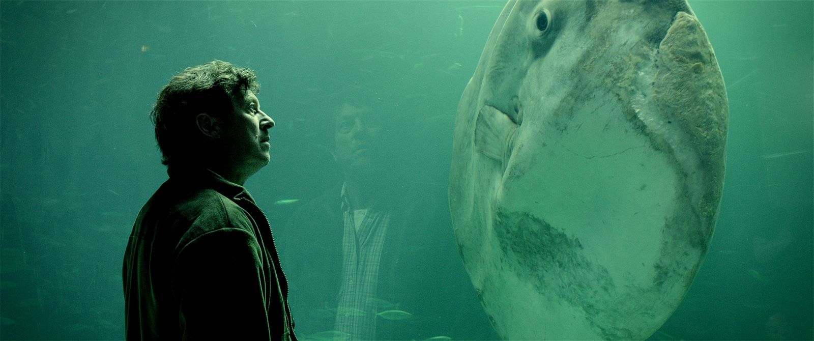 Bild zu Henrik Birch - Der Mondfisch : Bild Henrik Birch - Foto 10 von 13 - FILMSTARTS.de