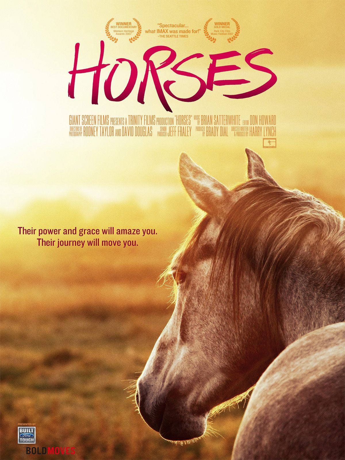 Horses - Kurzfilm - FILMSTARTS.de