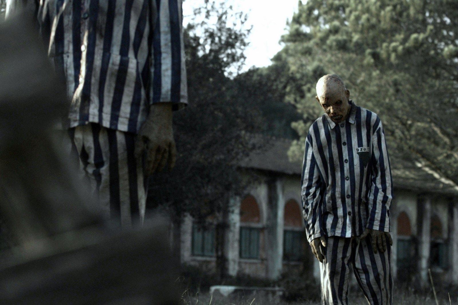 Foto zum Film Zombie Massacre 2: Reich Of The Dead - Bild 4 auf 7 ...