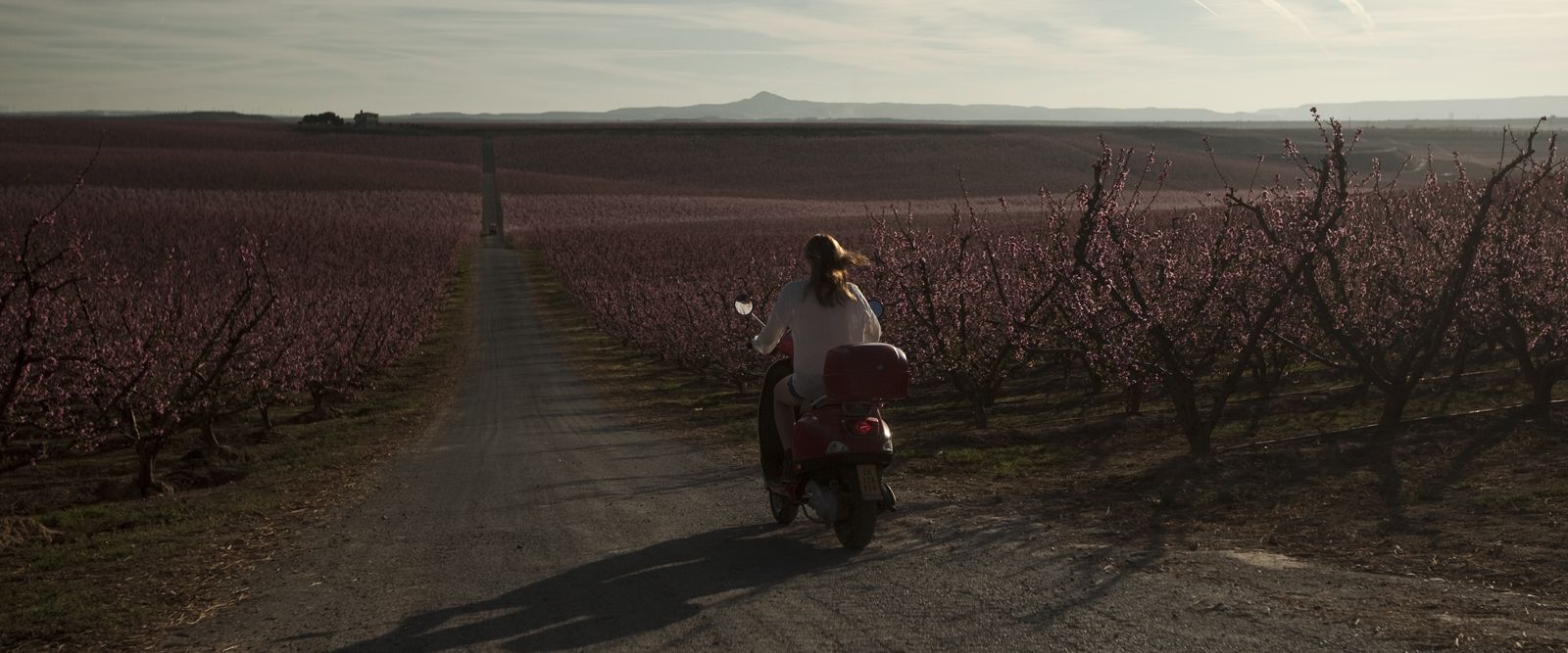 Foto zum Film Second Origin - Bild 32 auf 45 - FILMSTARTS.de