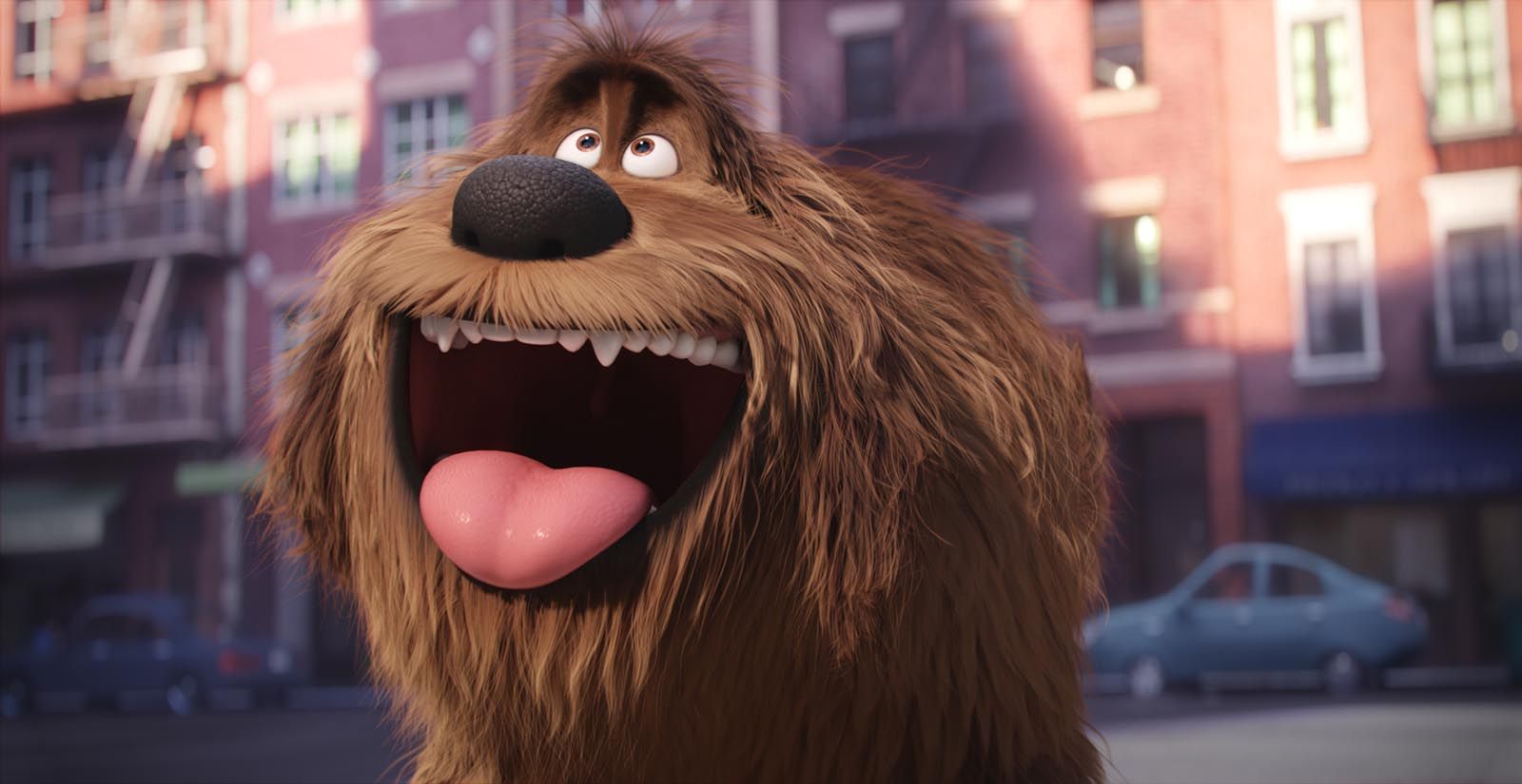 Foto zum Film Pets - Bild 23 auf 37 - FILMSTARTS.de
