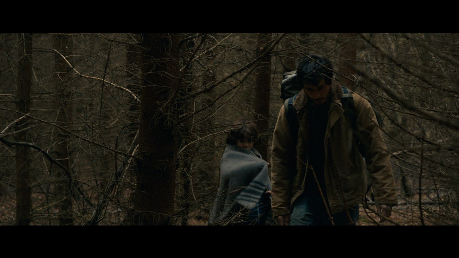 Foto zum Film Im Wald - Bild 5 auf 8 - FILMSTARTS.de
