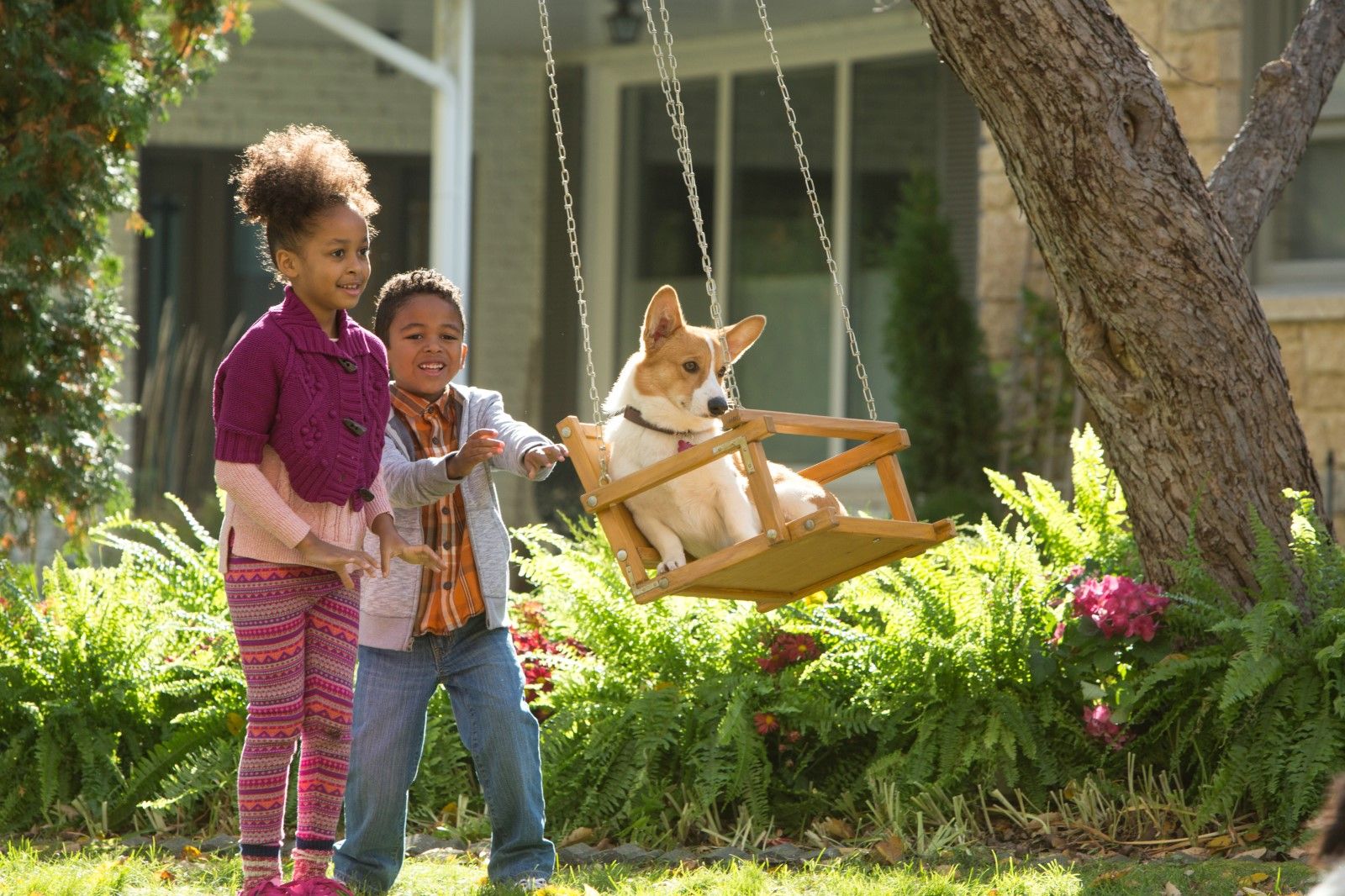 Foto zum Film Bailey - Ein Freund fürs Leben - Bild 26 auf 37 ...