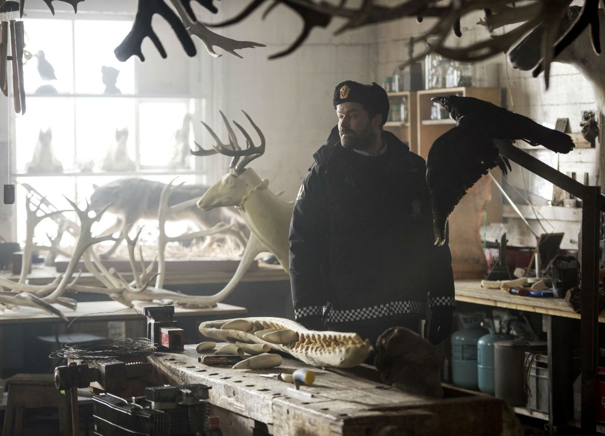 Fortitude: Fortitude : Bild - 21 von 52 - FILMSTARTS.de