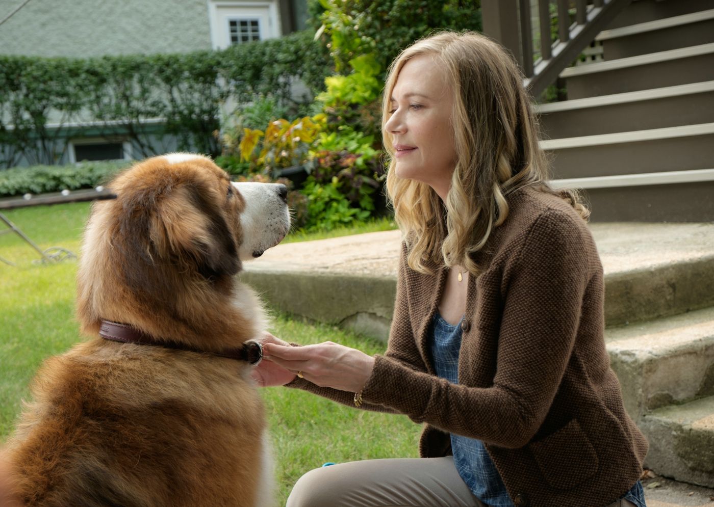 Foto zum Film Bailey - Ein Freund fürs Leben - Bild 4 auf 37 ...