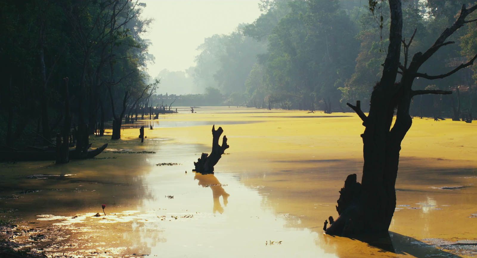 Foto zum Film Le Chemin - Bild 2 auf 9 - FILMSTARTS.de