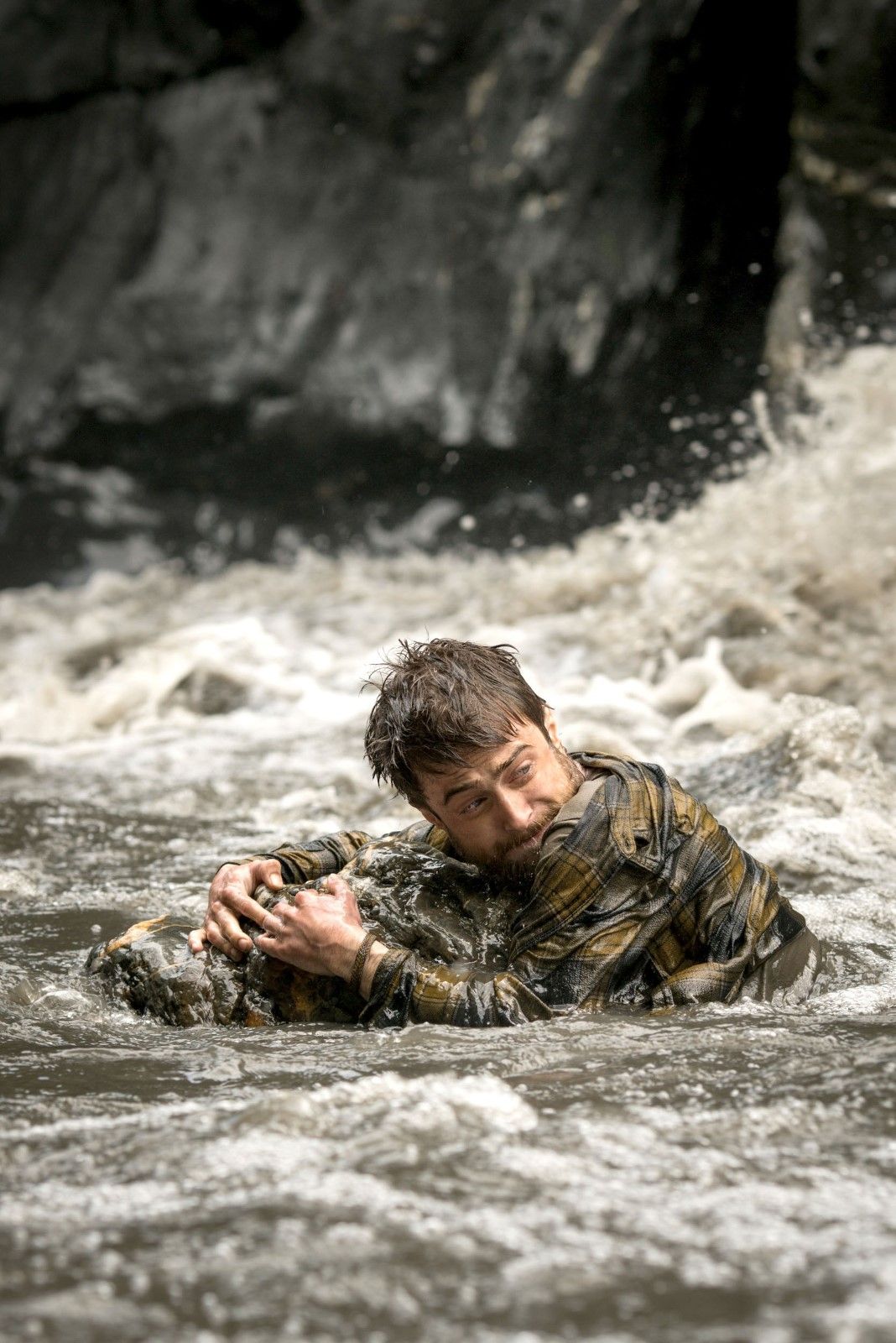 Bild zu Daniel Radcliffe - Jungle : Bild Daniel Radcliffe - Foto 132 ...