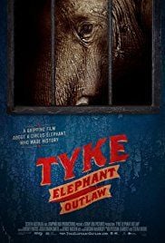 Tyke Elephant Outlaw - Dokumentarfilm 2015 - FILMSTARTS.de