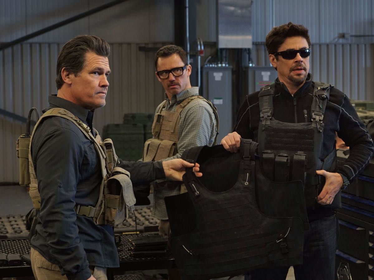 Bild zu Jeffrey Donovan - Sicario 2 : Bild Benicio Del Toro, Jeffrey ...