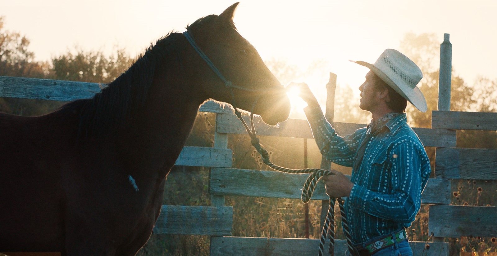 Foto zum Film The Rider - Bild 4 auf 15 - FILMSTARTS.de