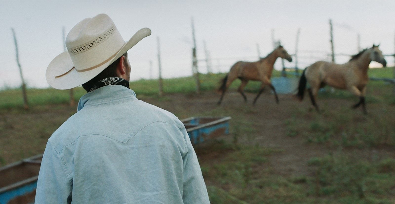 Foto zum Film The Rider - Bild 3 auf 15 - FILMSTARTS.de