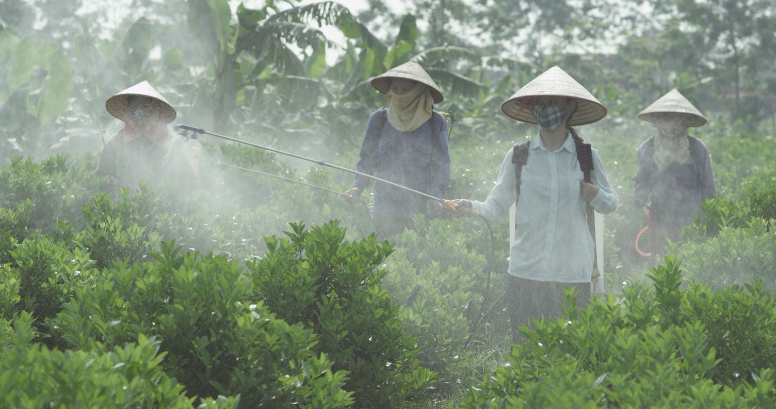 Foto zum Film Plan Bee - Bild 7 auf 10 - FILMSTARTS.de