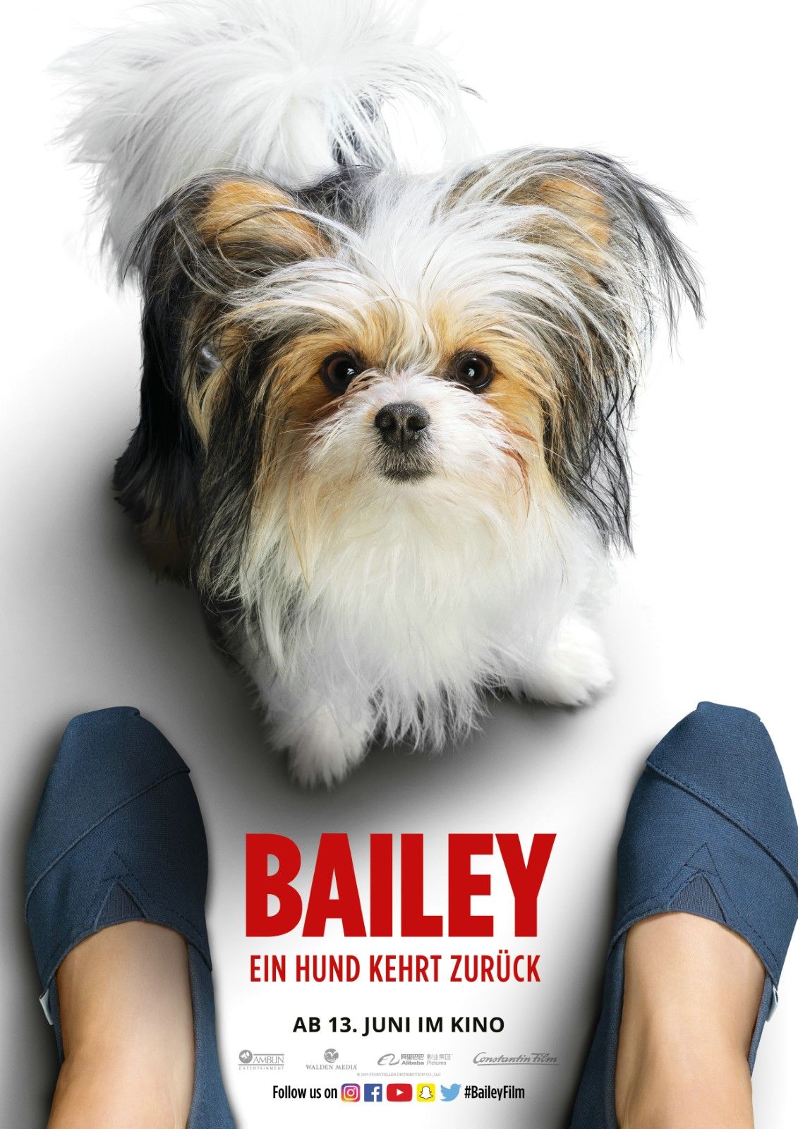 Poster zum Film Bailey - Ein Hund kehrt zurück - Bild 44 auf 49 ...