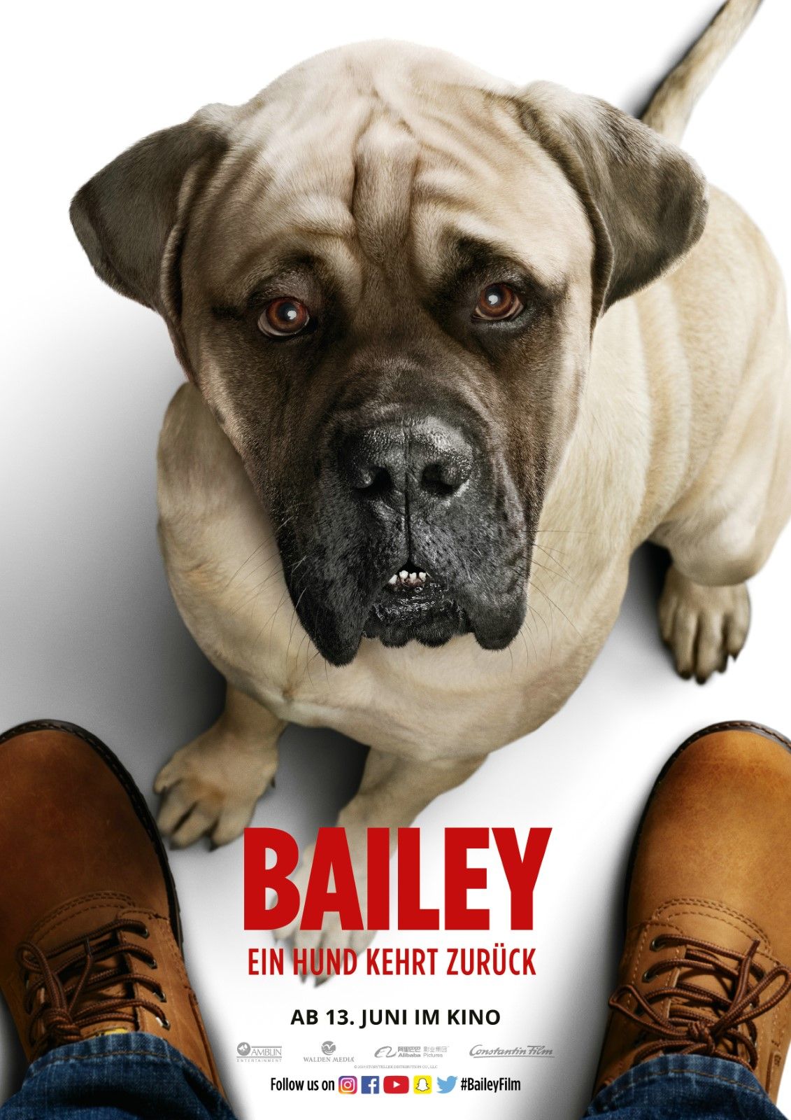 Poster zum Film Bailey - Ein Hund kehrt zurück - Bild 43 auf 49 ...
