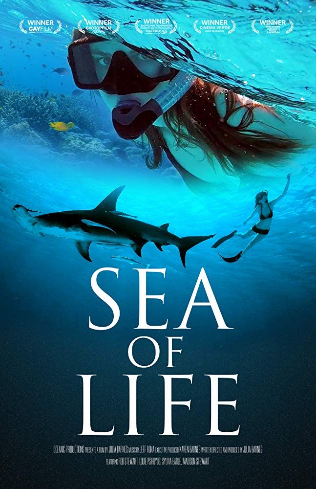 Sea of Life - Dokumentarfilm 2017 - FILMSTARTS.de