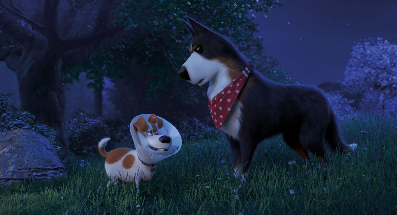 Foto zum Film Pets 2 - Bild 47 auf 68 - FILMSTARTS.de