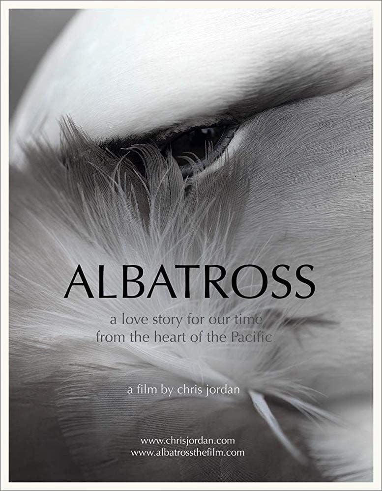 Albatross - Dokumentarfilm 2017 - FILMSTARTS.de