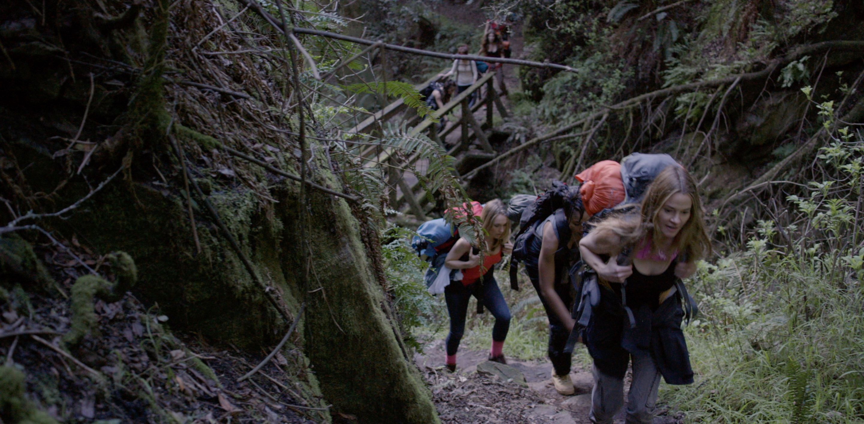 Foto zum Film Die Beute - Aufspüren. Jagen. Töten. - Bild 12 auf 14 ...