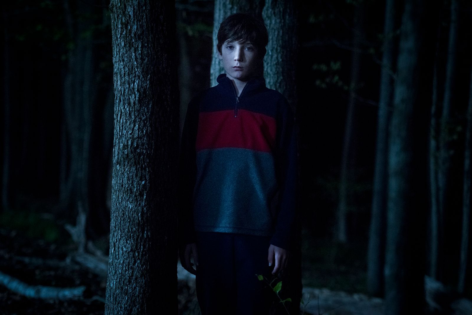 Bild zu Jackson A. Dunn - Brightburn: Son Of Darkness : Bild Jackson A ...